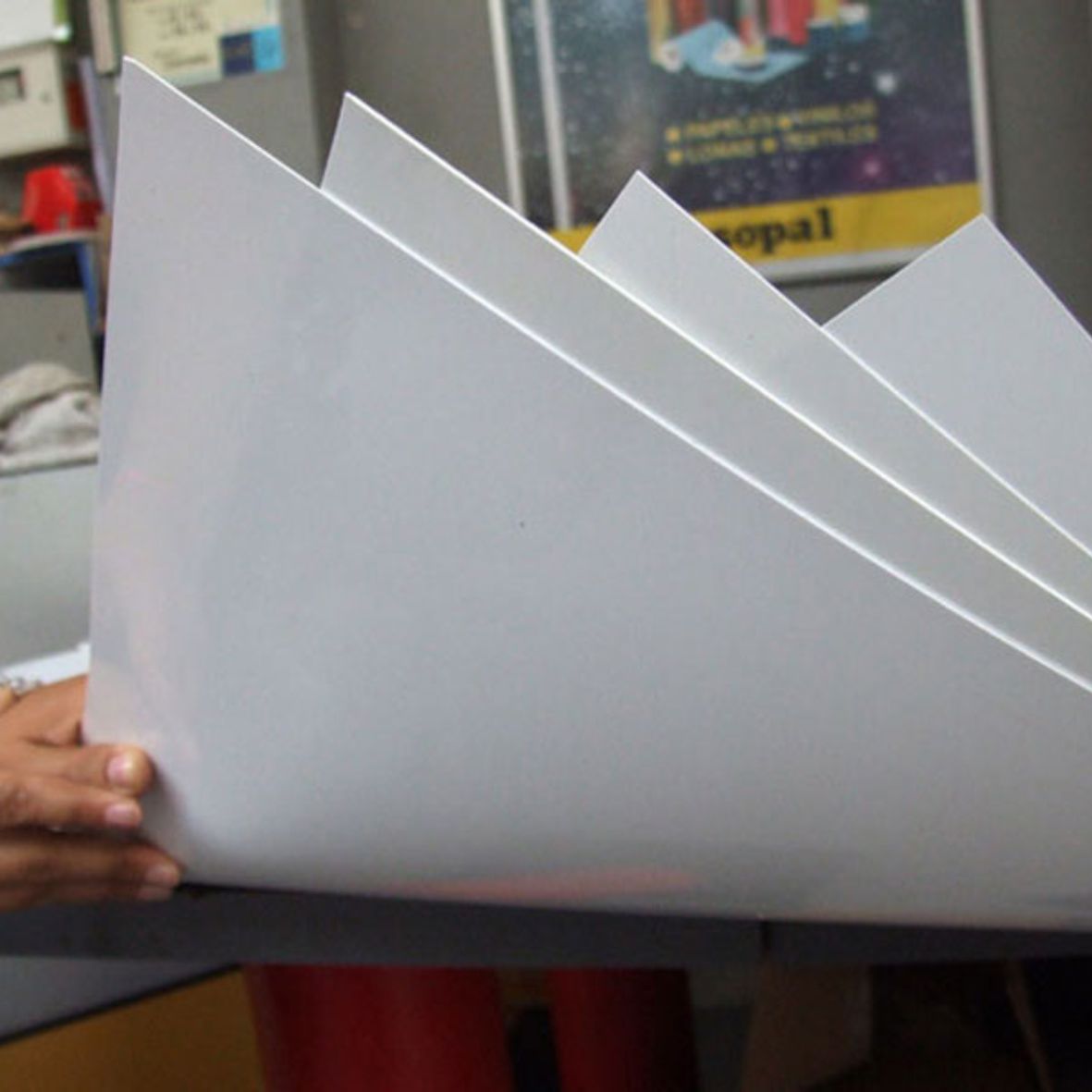 Rígidos - Panagrafica